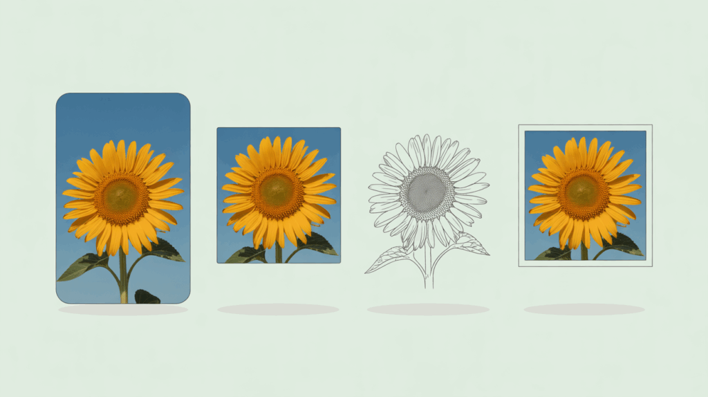 Best Ways to Crop a Photo Online | Freehand, Shapes & AI