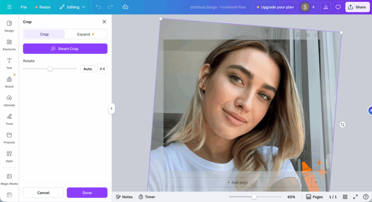 Best Ways to Crop a Photo Online | Freehand, Shapes & AI